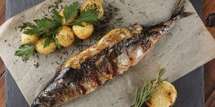 Vin till Röding, Lax & Torsk – De Bästa Vintipsen för Fiskrätter ...